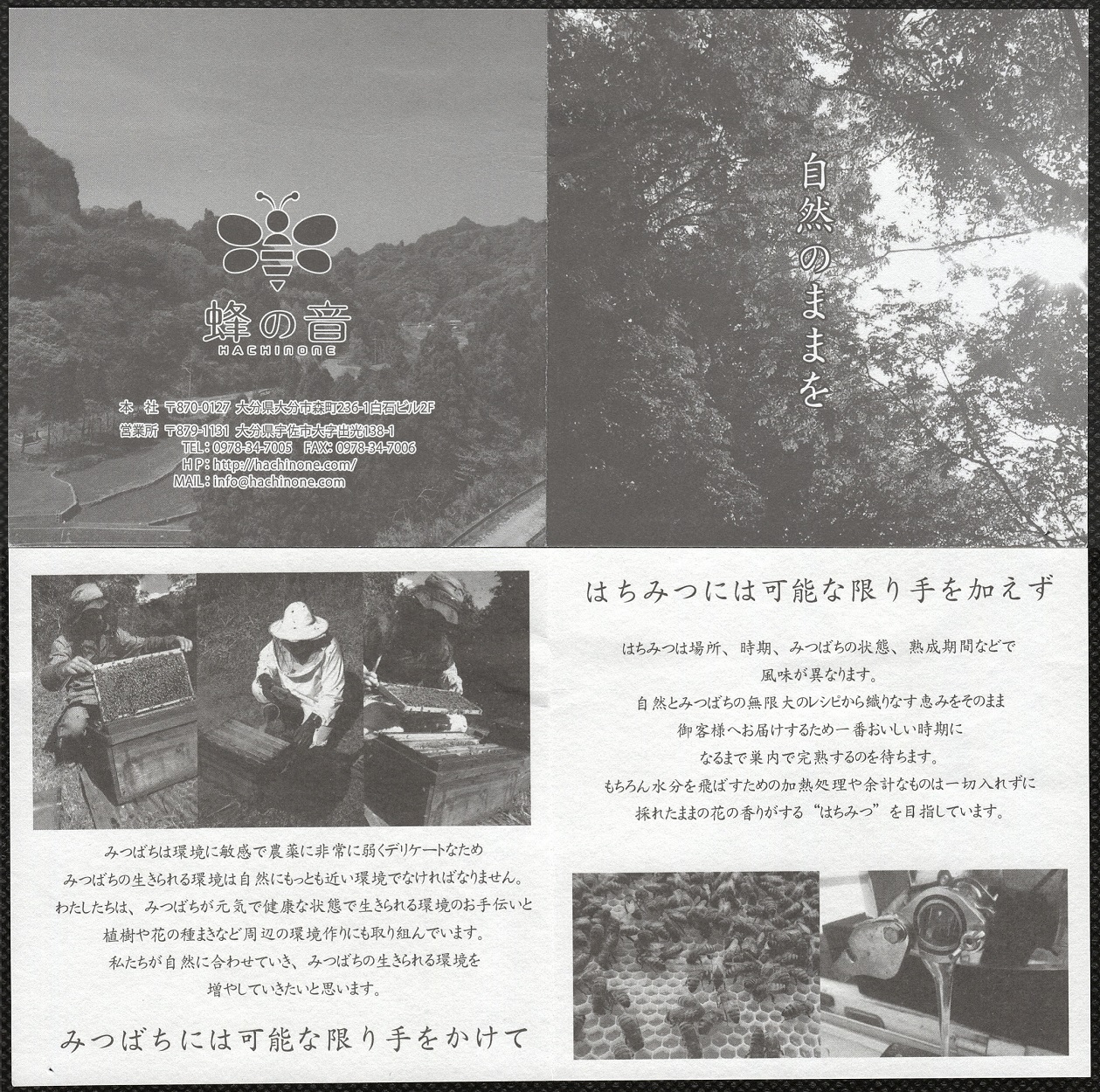 FIG(4392)から株主優待が到着 | Yoshiの株主優待ブログ